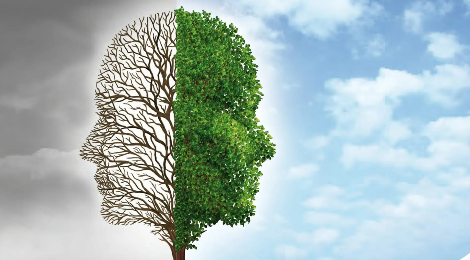 The secret logic of depression - rheingold market research