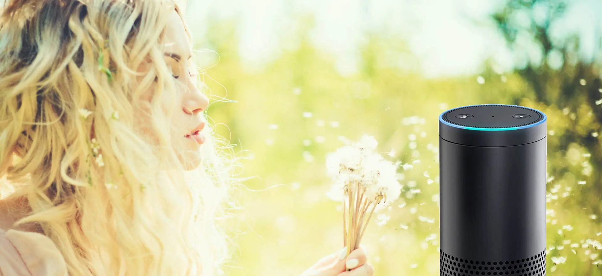 Alexa pilot study - rheingold market research